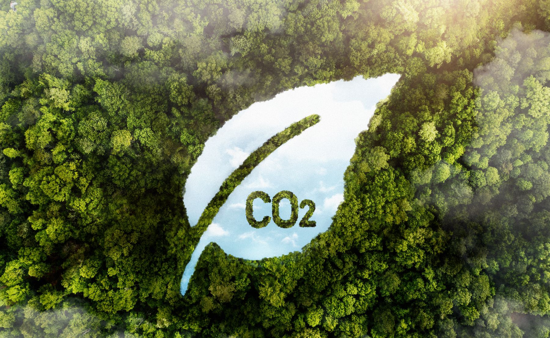 Strategii de decarbonizare - Reducerea emisiilor de CO2